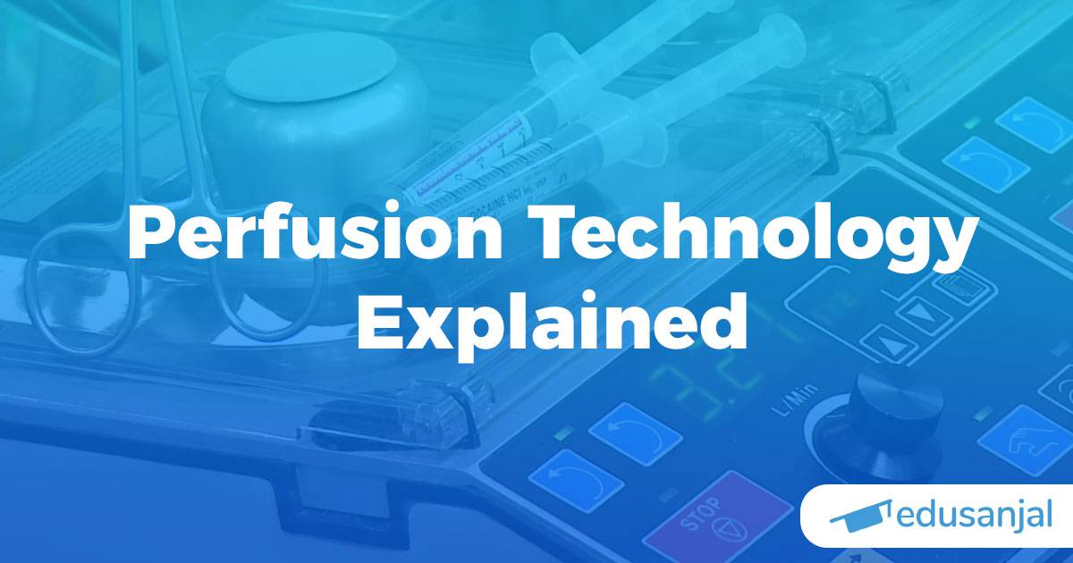 Perfusion Technology Explained - Edusanjal