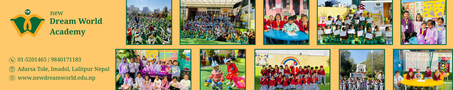 New Dream World Academy - Adarsa Tole, Mahalaxmi-4, Lalitpur