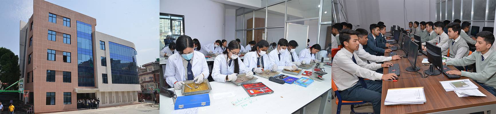 Ten Plus Two (+2) Science - Reliance International Academy - Edusanjal