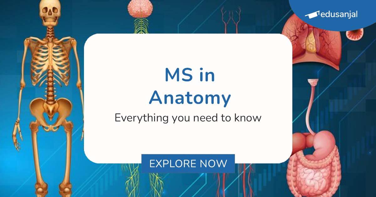 MS Anatomy - Edusanjal