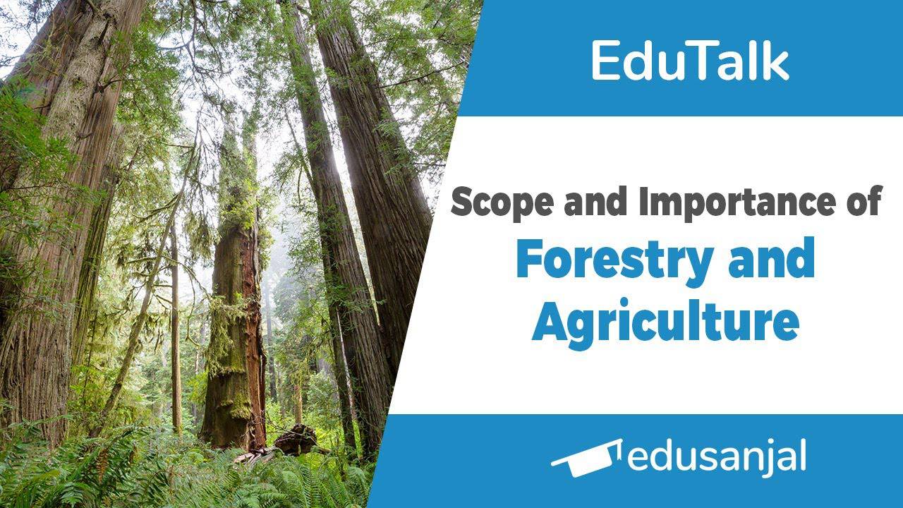 Scope and Importance of Forestry and Agriculture - Edusanjal
